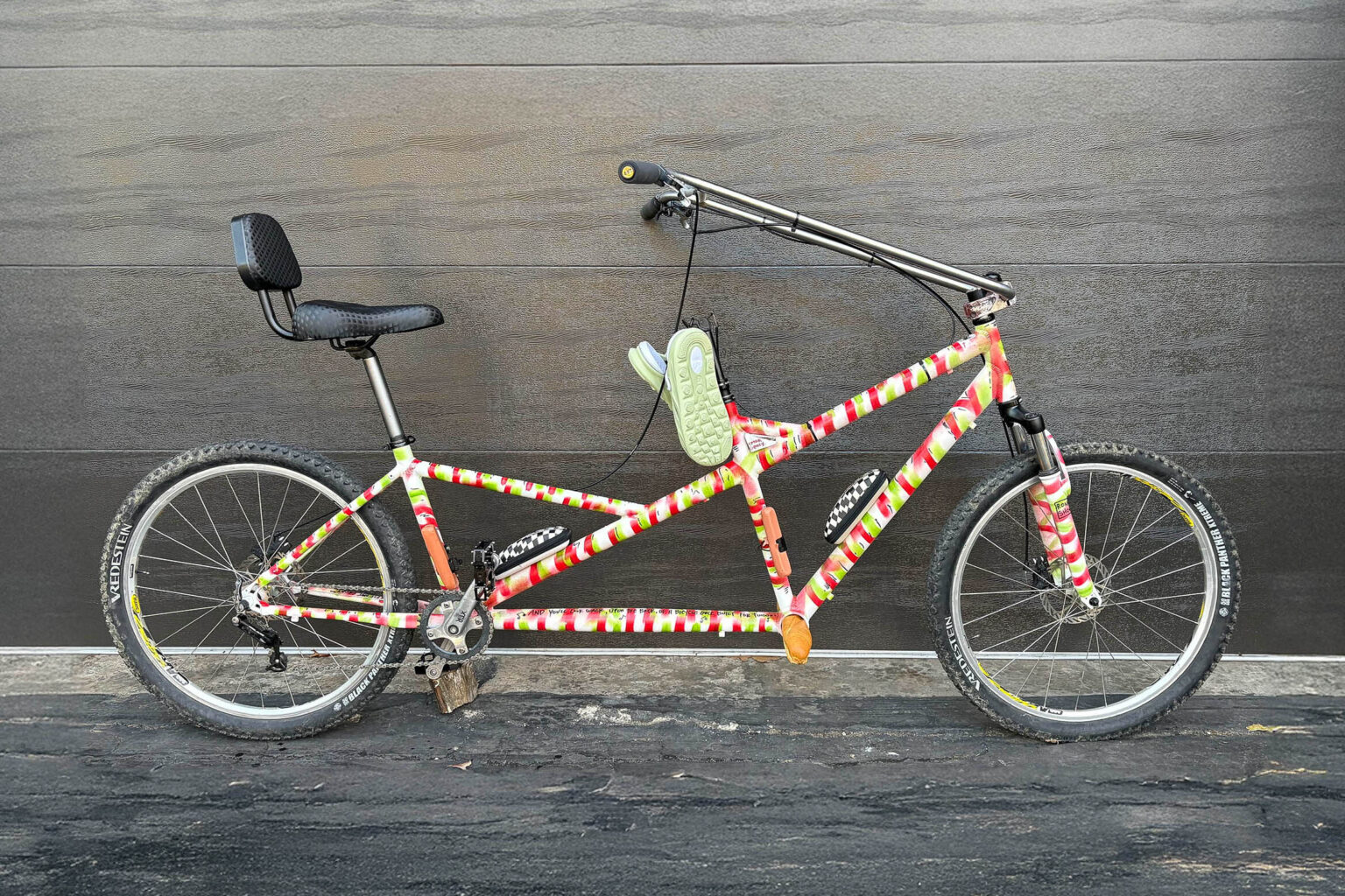 Reader's Rig: Bicycle Pubes' Tandem for One - BIKEPACKING.com