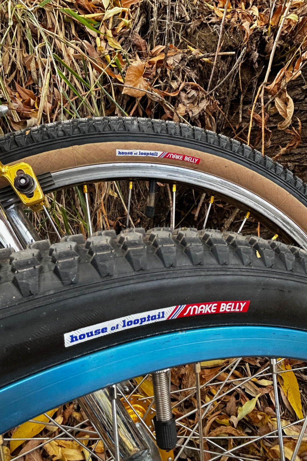 House of Looptail Snake Belly - BIKEPACKING.com