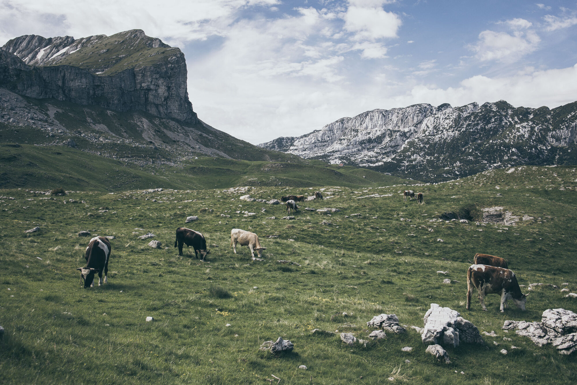 More Than Just a Race: Trans Balkan Race (Video) - BIKEPACKING.com