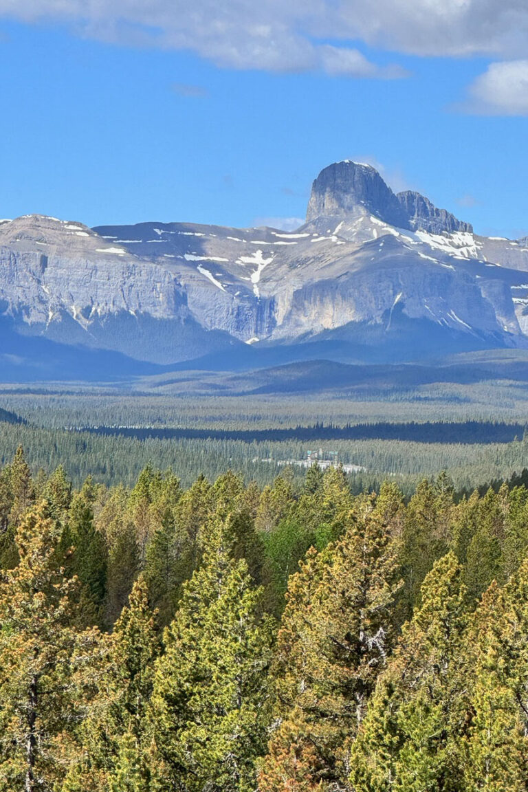 Pot of Coffee: Riding the GDMBR (Video) - BIKEPACKING.com