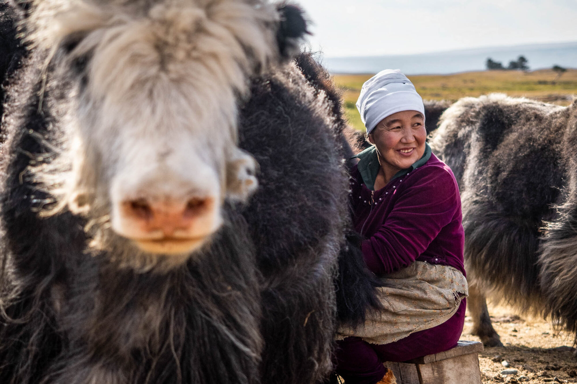 The Altai Project: A Bikepacking Adventure (Video) - BIKEPACKING.com
