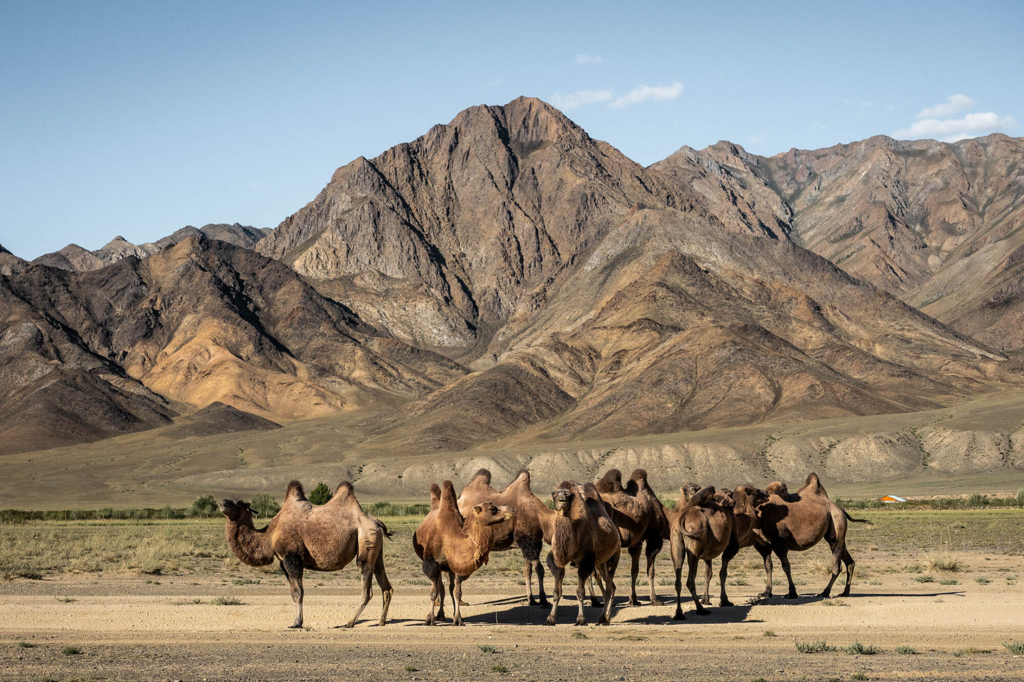 The Altai Project: A Bikepacking Adventure (Video) - BIKEPACKING.com