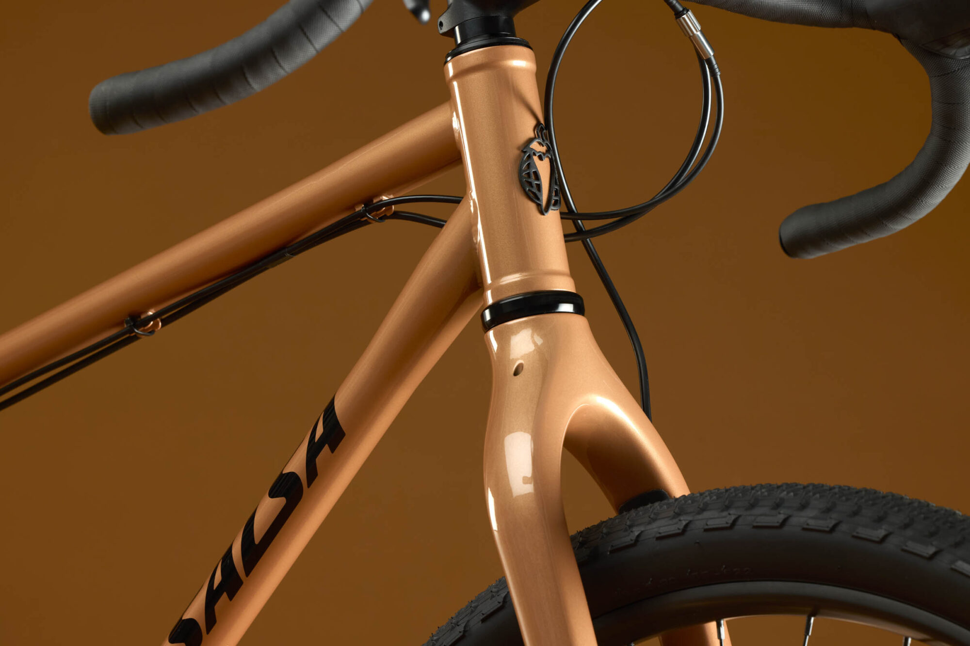 2025 Salsa Fargo - BIKEPACKING.com