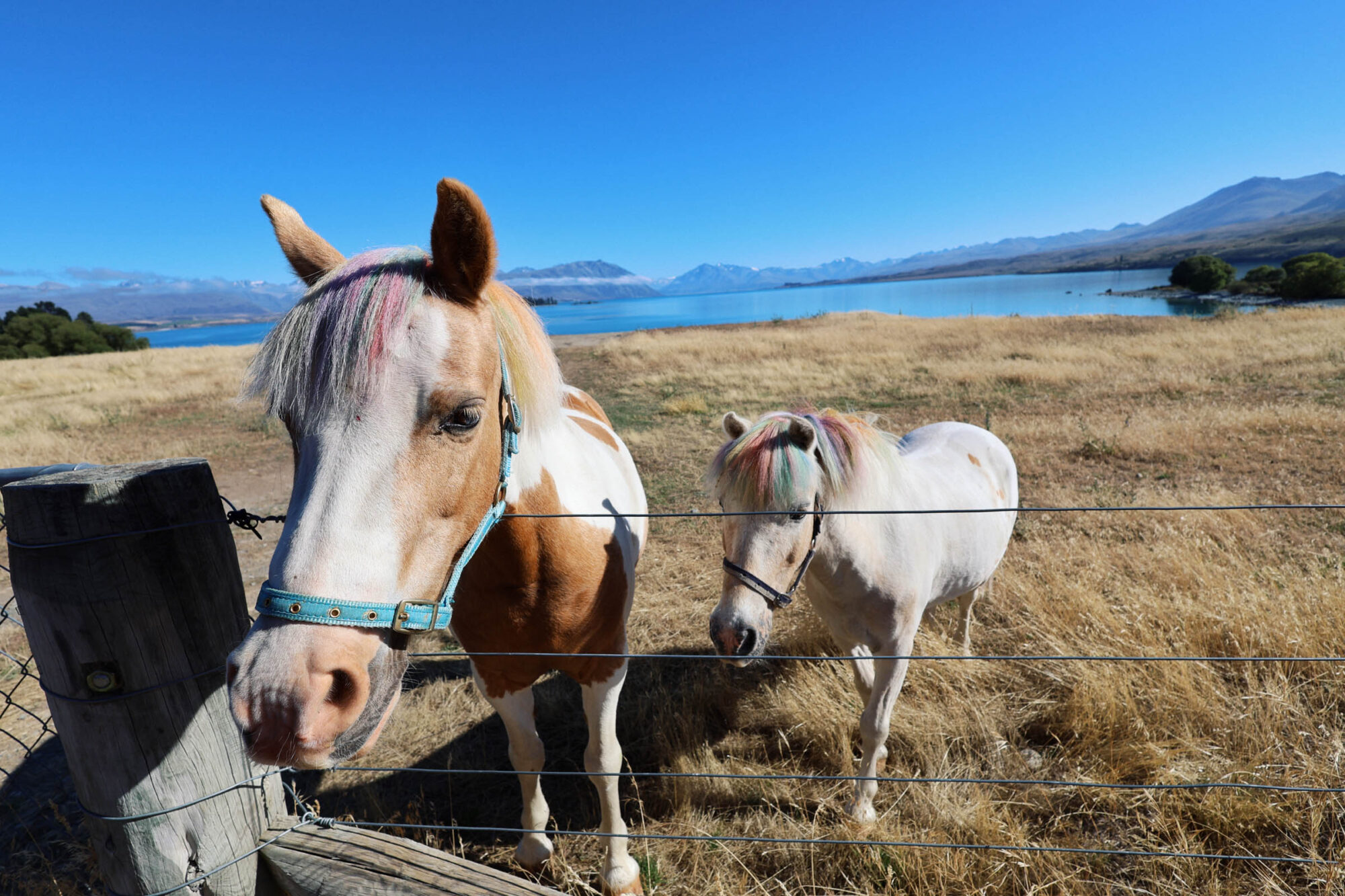 Bikepacking to Macaulay Hut, New Zealand - BIKEPACKING.com