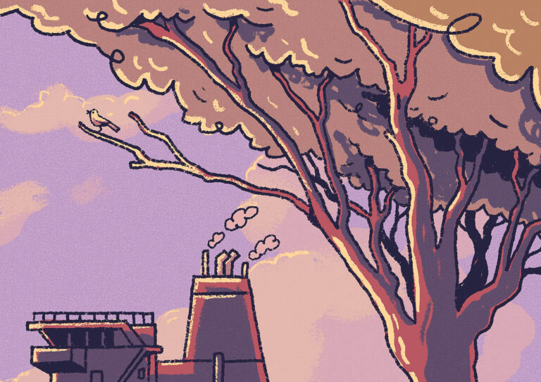 Rider's Lens: Karl Millett's Illustrations - BIKEPACKING.com