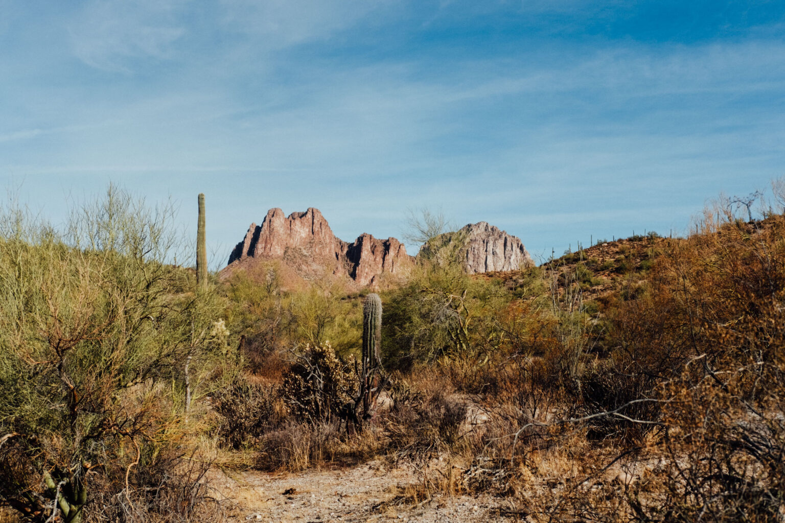 2025 Gila 100 Recap - BIKEPACKING.com