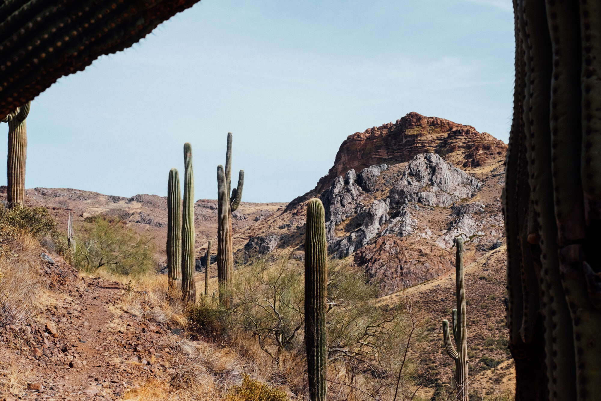 2025 Gila 100 Recap - BIKEPACKING.com