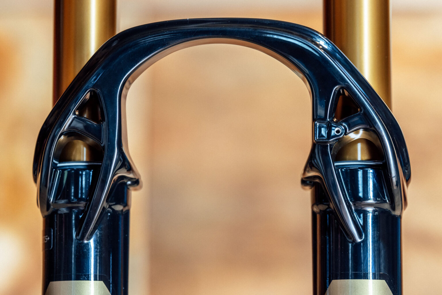 Fox 36 SL Review: Want vs. Need - BIKEPACKING.com