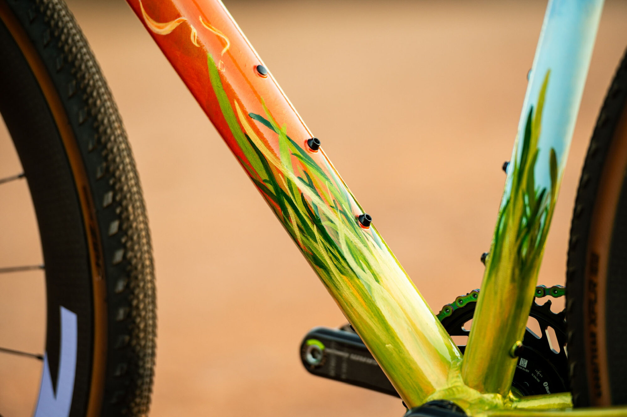 Mid South Custom Salsa Stormchaser Raffle - BIKEPACKING.com