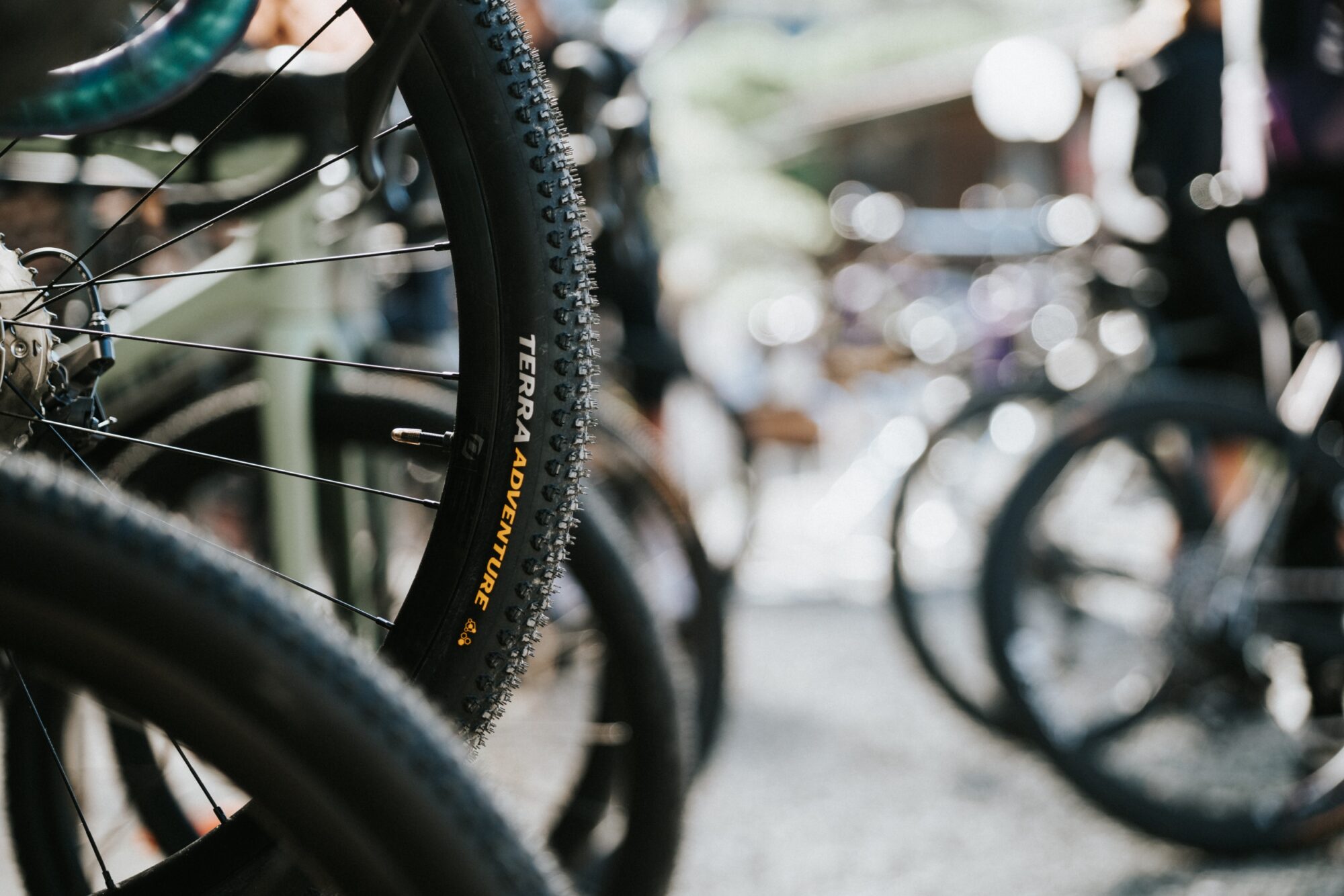 Continental Terra Adventure Tire - BIKEPACKING.com