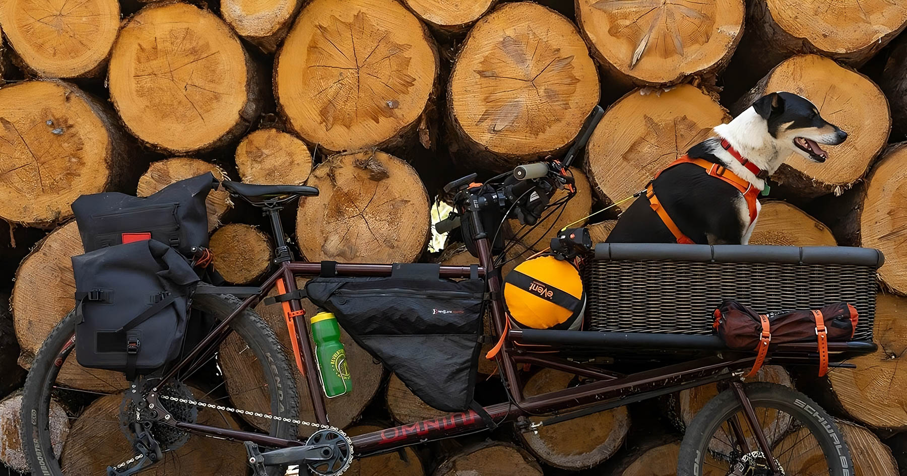 Reader's Rig: Dave's Omnium Cargo V3 Dogpacker - BIKEPACKING.com