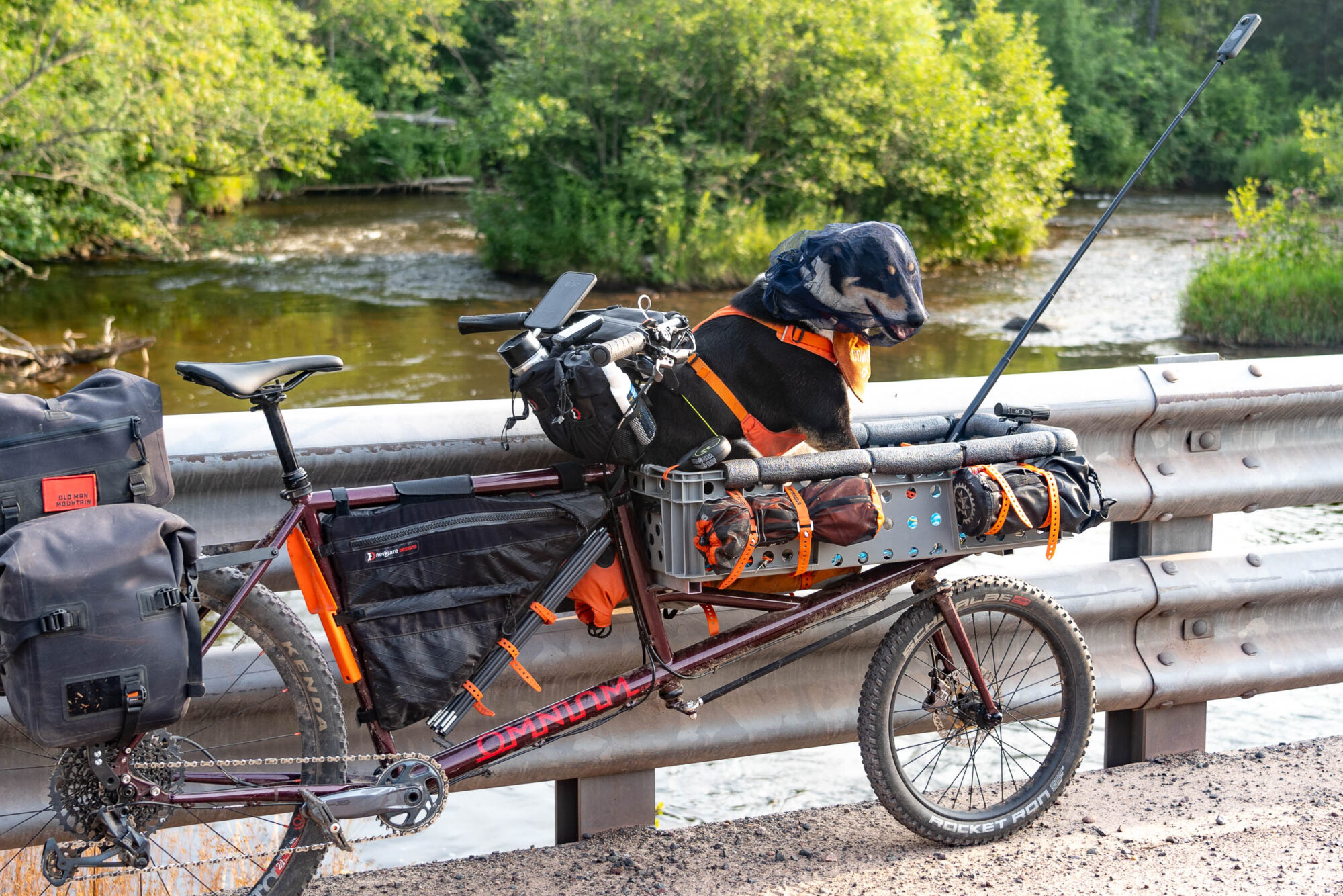 Reader's Rig: Dave's Omnium Cargo V3 Dogpacker - BIKEPACKING.com