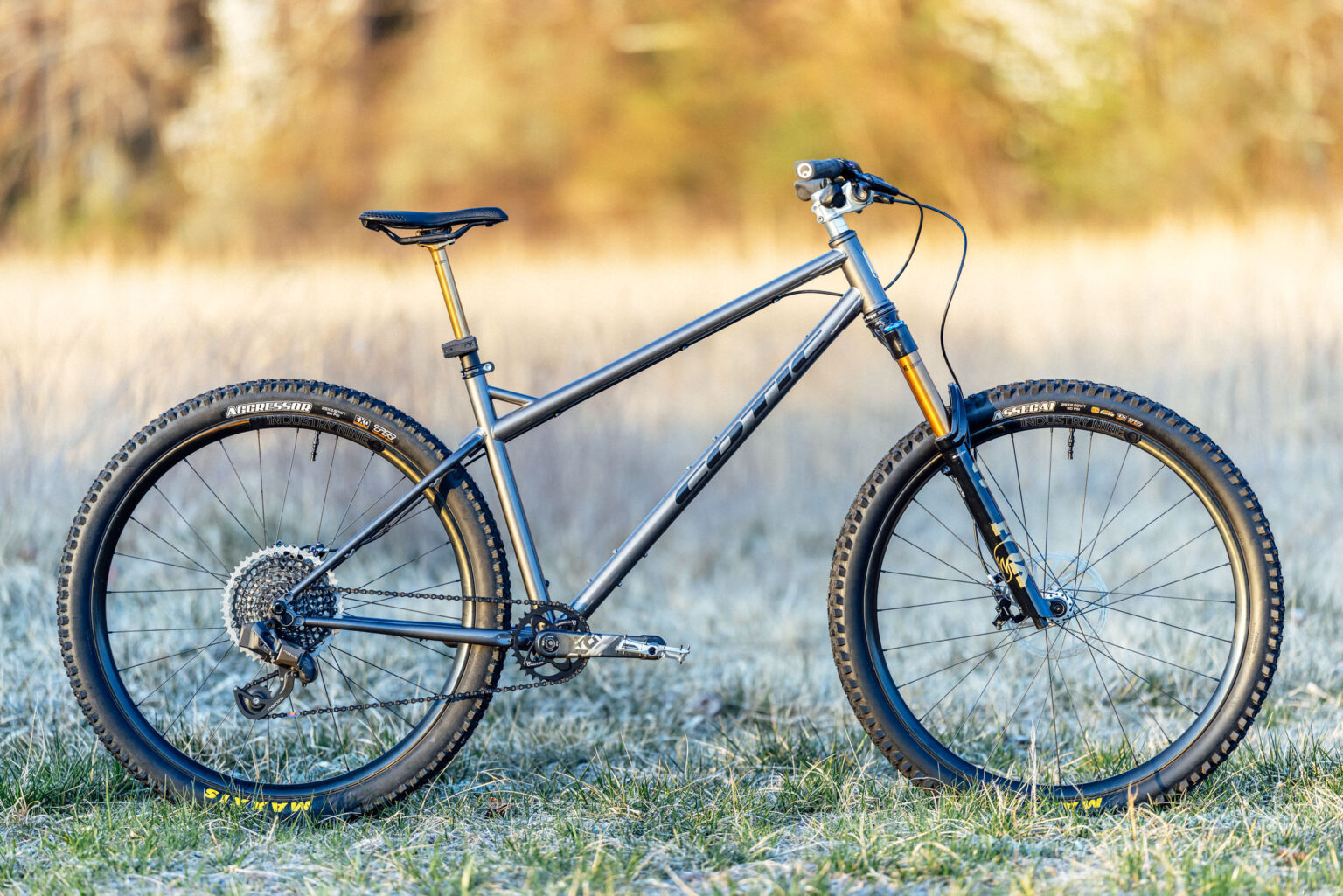 Cotic BFe Review: Burly Metal, Soft Touch - BIKEPACKING.com