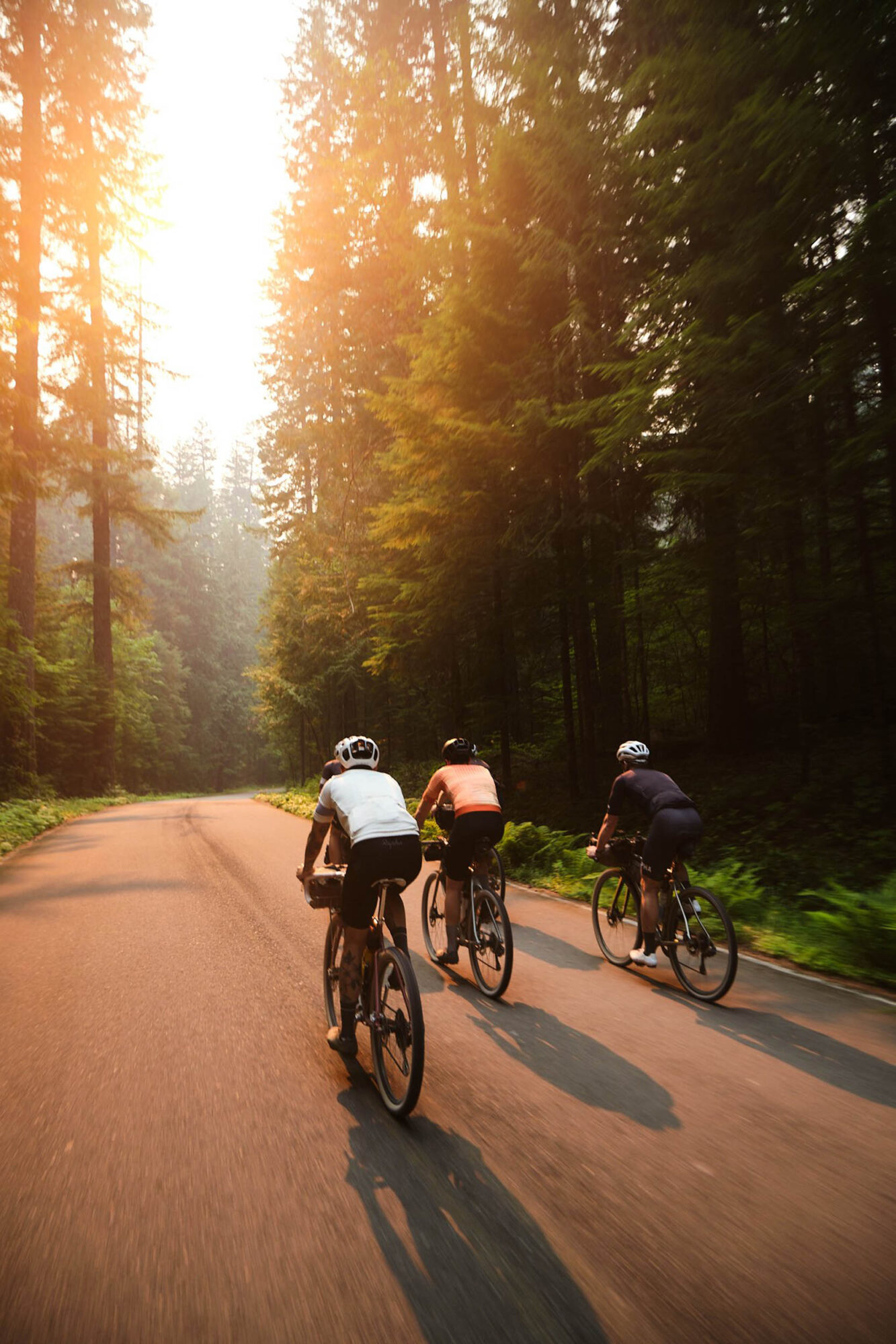 Oregon Cascades Volcanic Arc (OCVA) - BIKEPACKING.com