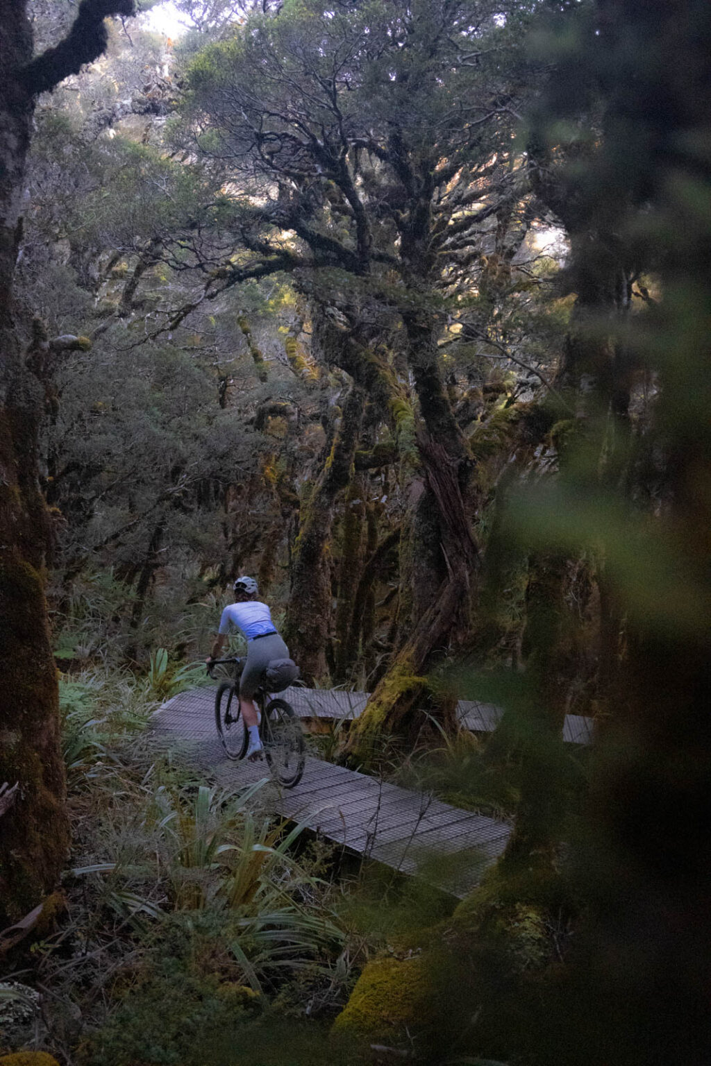 The Old Ghost Road on a Gravel Bike - BIKEPACKING.com