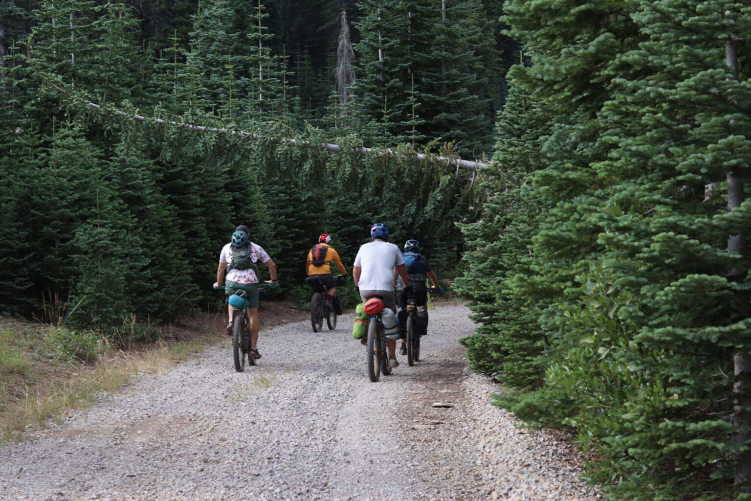 Shasta Siskiyou Loop - BIKEPACKING.com