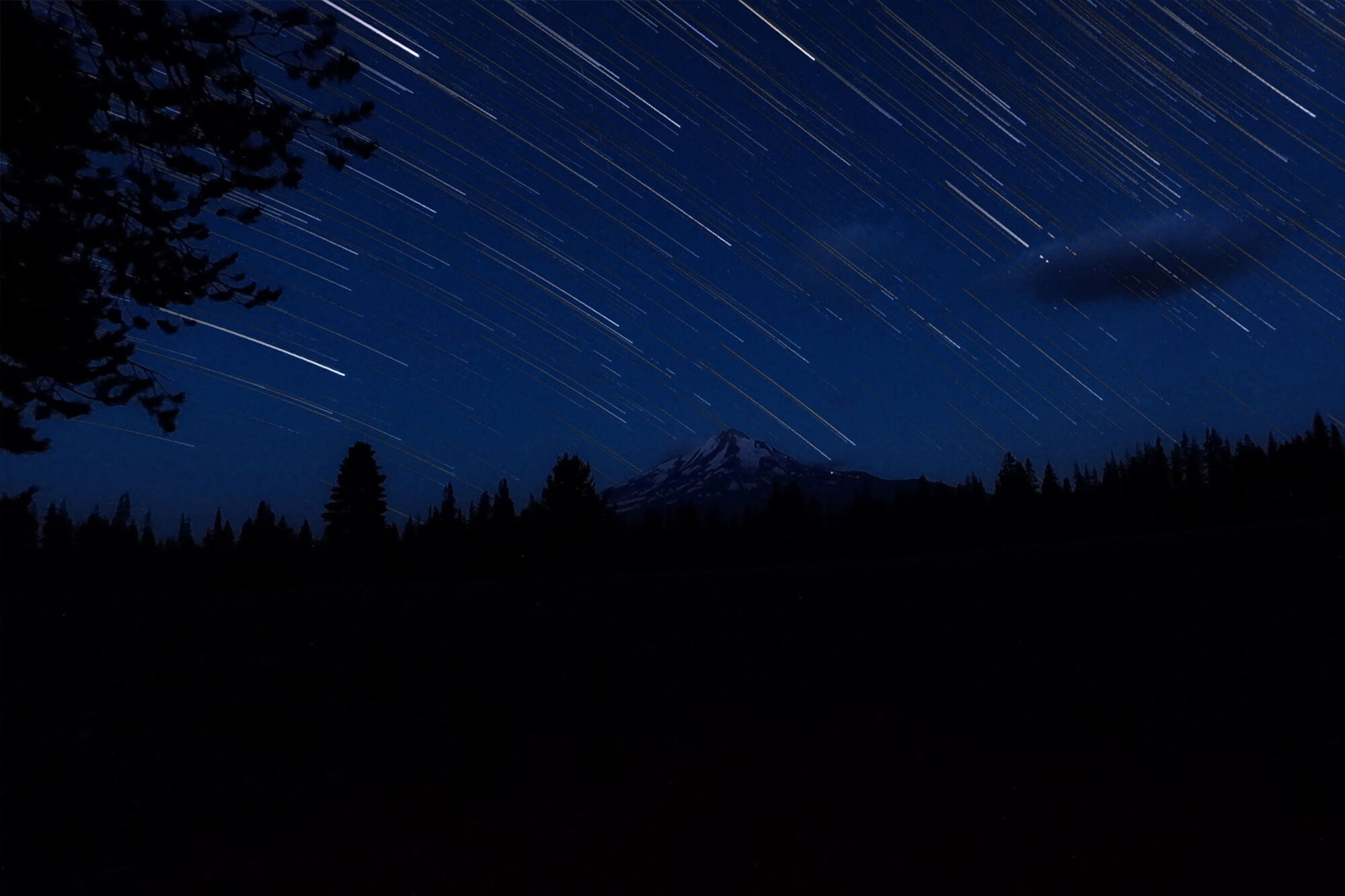 Shasta Siskiyou Loop - BIKEPACKING.com