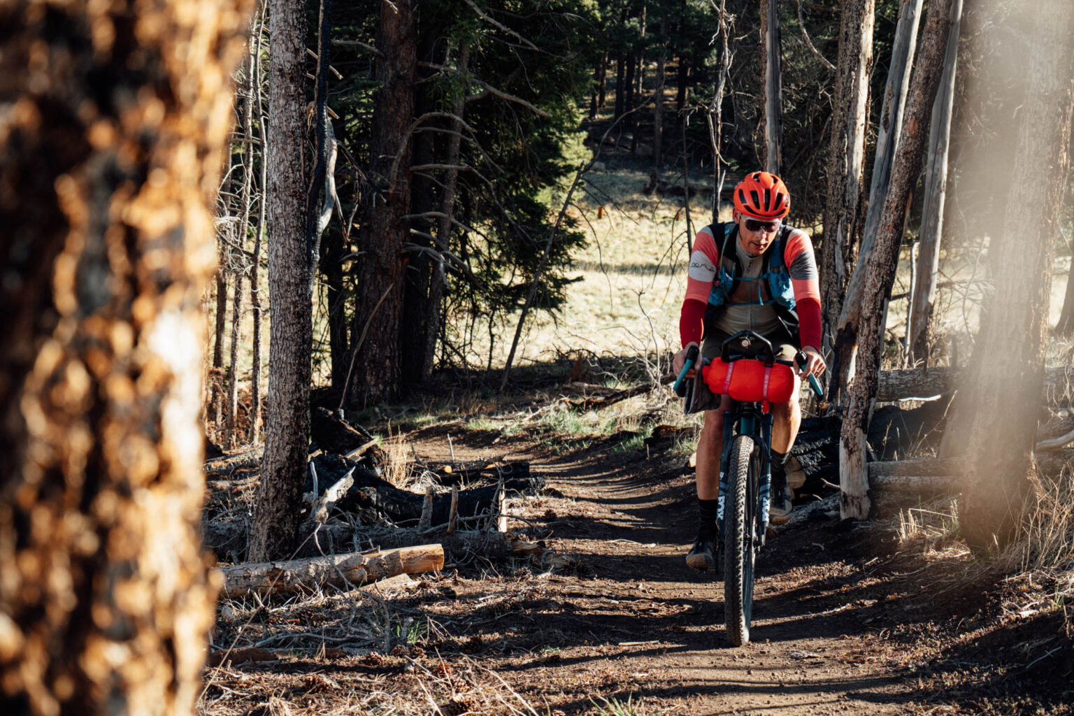 Stephen Fitzgerald Wins 2025 Pinyons and Pines - BIKEPACKING.com