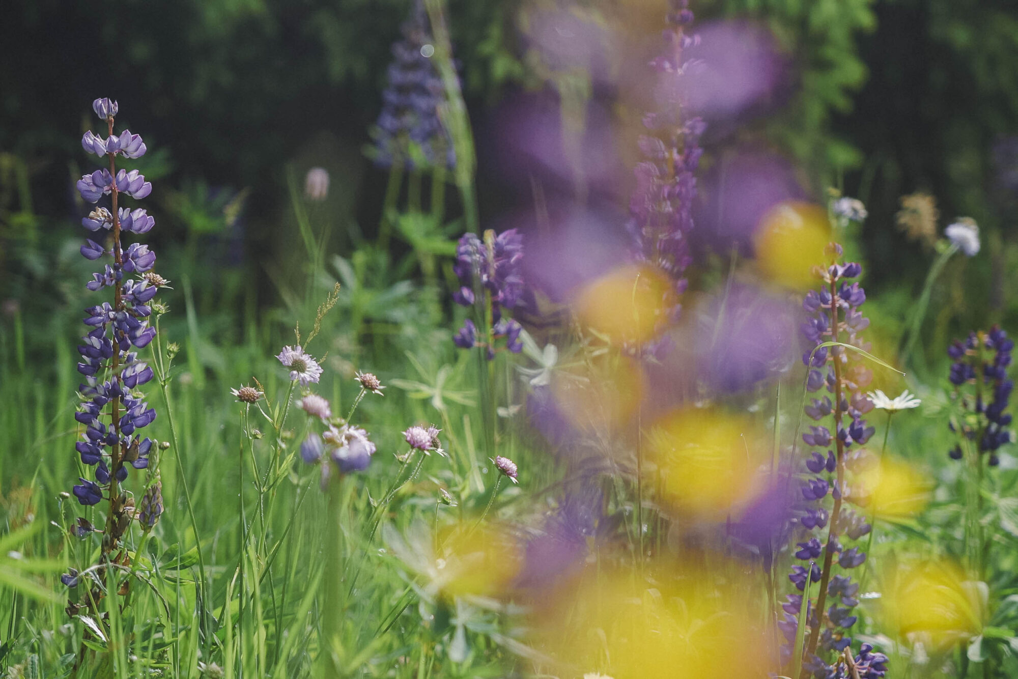 Bikepacking Colors: Activate Your Superpowers - BIKEPACKING.com