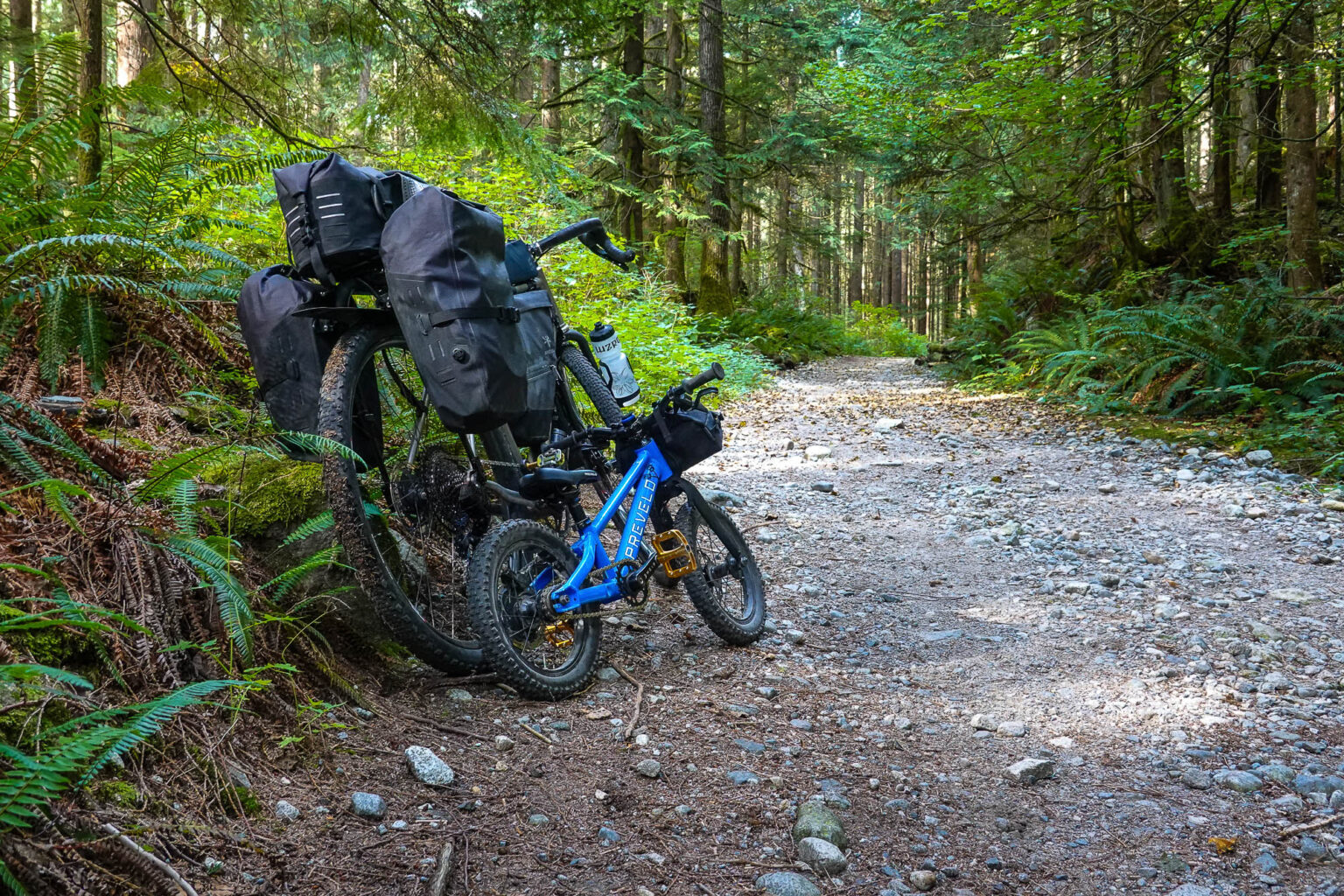 Reader's Rig: Cooper's Landyachtz 1146 Custom - BIKEPACKING.com