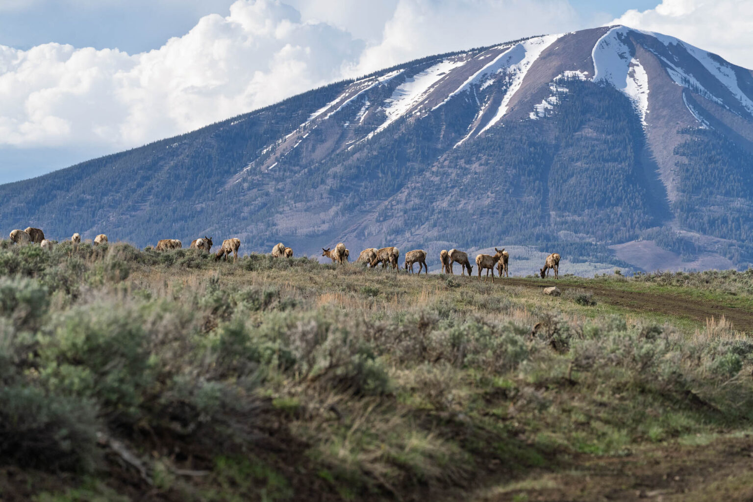 The USDA is Putting 58 Million Acres of National Forest on the Chopping ...