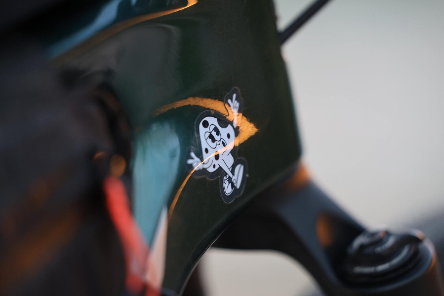 Josh Reid's Tour Divide-Ready Giant Revolt X - BIKEPACKING.com
