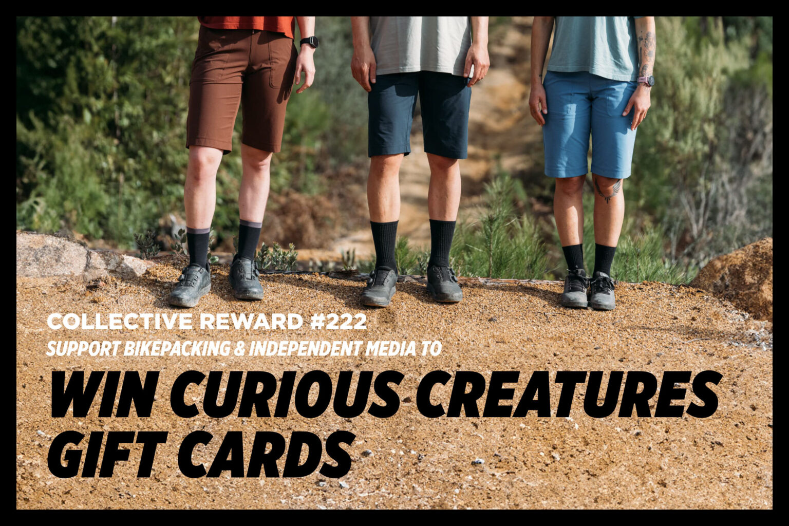 Curious Creatures Gift Card Giveaway - BIKEPACKING.com
