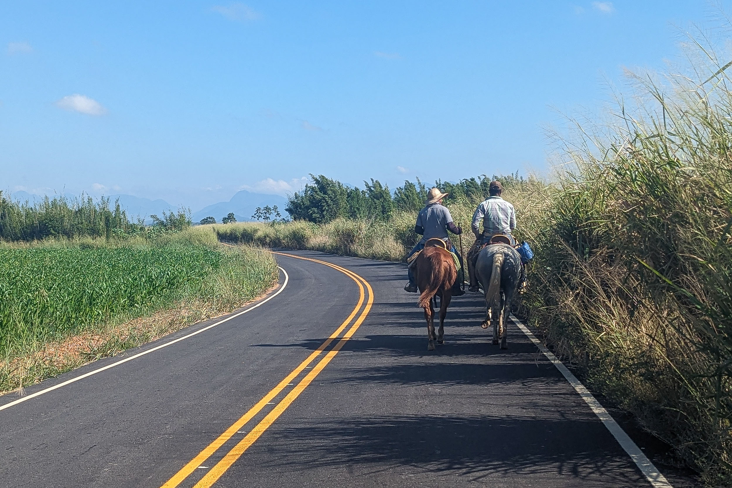 Mata Atlantica Bike Route (S1): Rio - BIKEPACKING.com