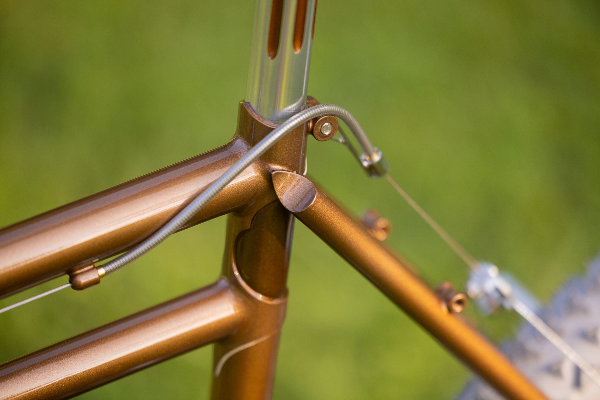 Wilde Dog Star - BIKEPACKING.com