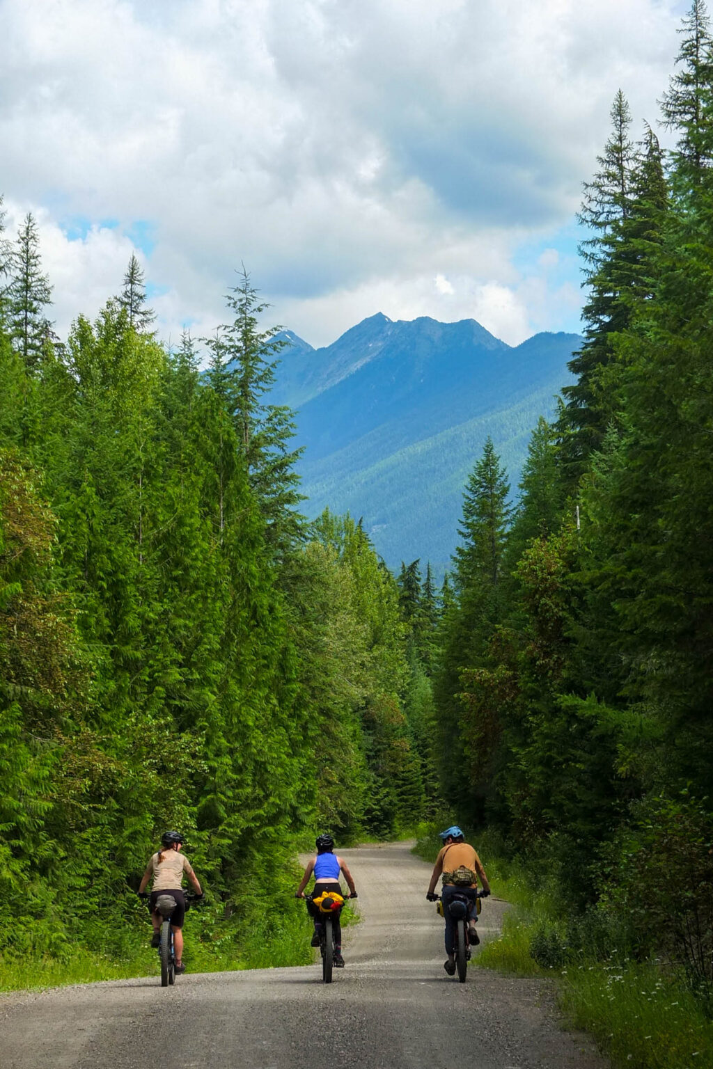 Log Jam Loop - BIKEPACKING.com