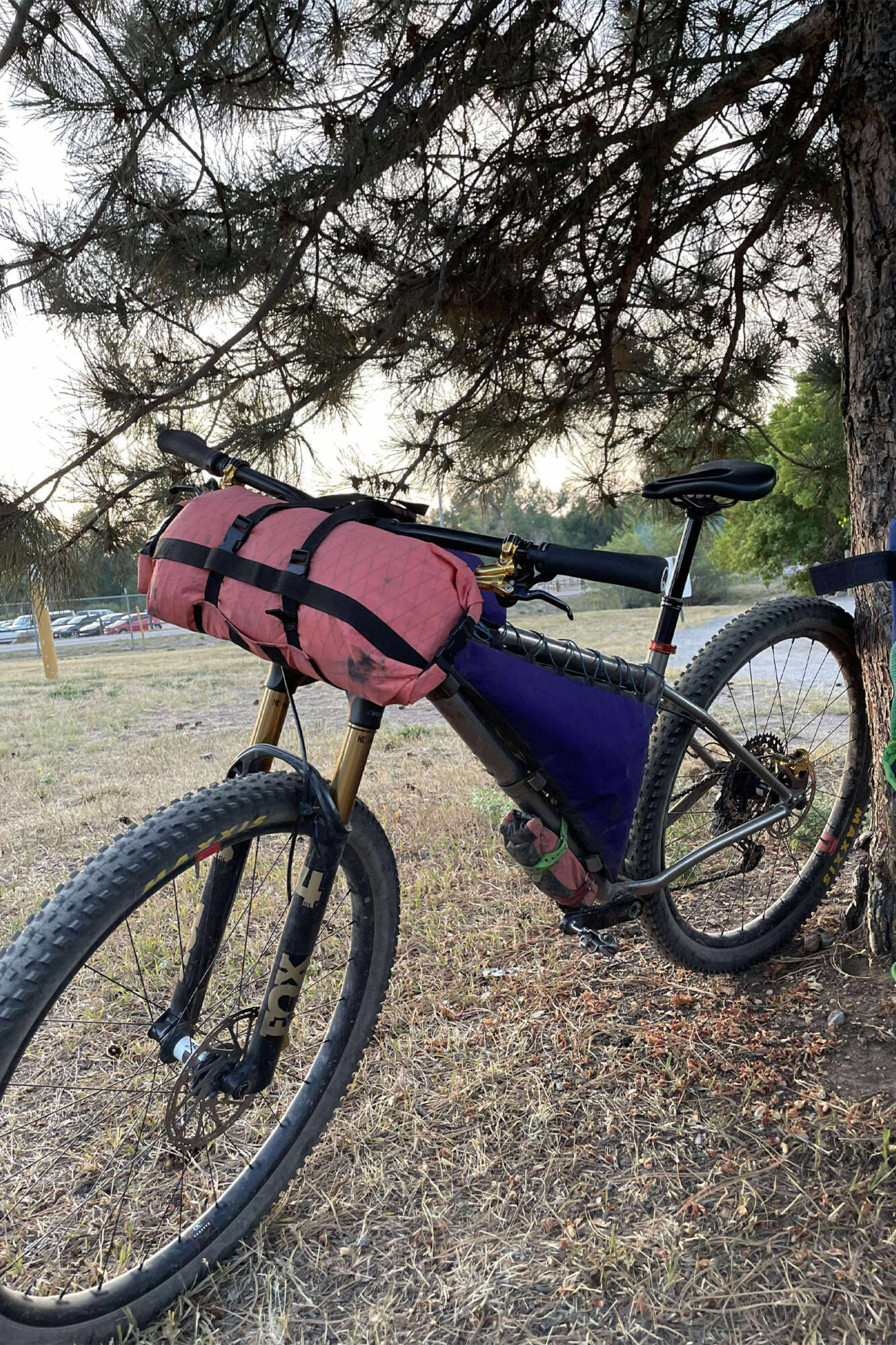Nicolette Jones 2025 Colorado Trail Race Record - BIKEPACKING.com