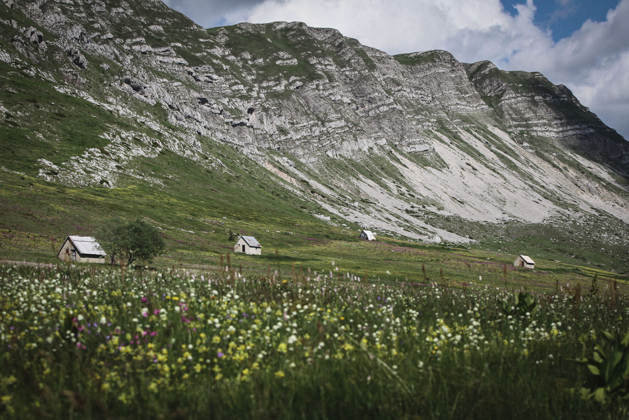 2025 Montenegro Mountain Madness Video - BIKEPACKING.com