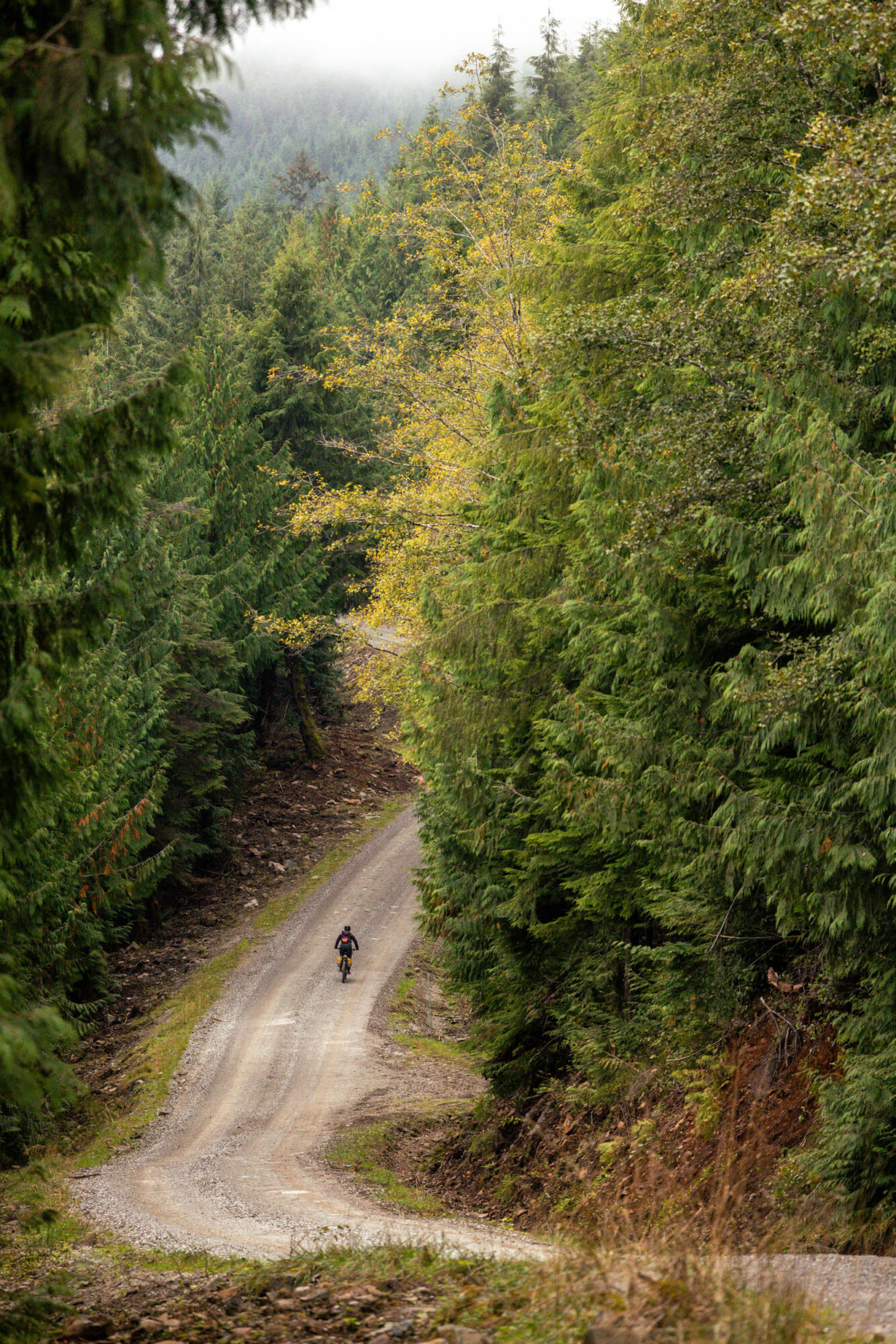 Jeune Landing Loop, Vancouver Island - BIKEPACKING.com