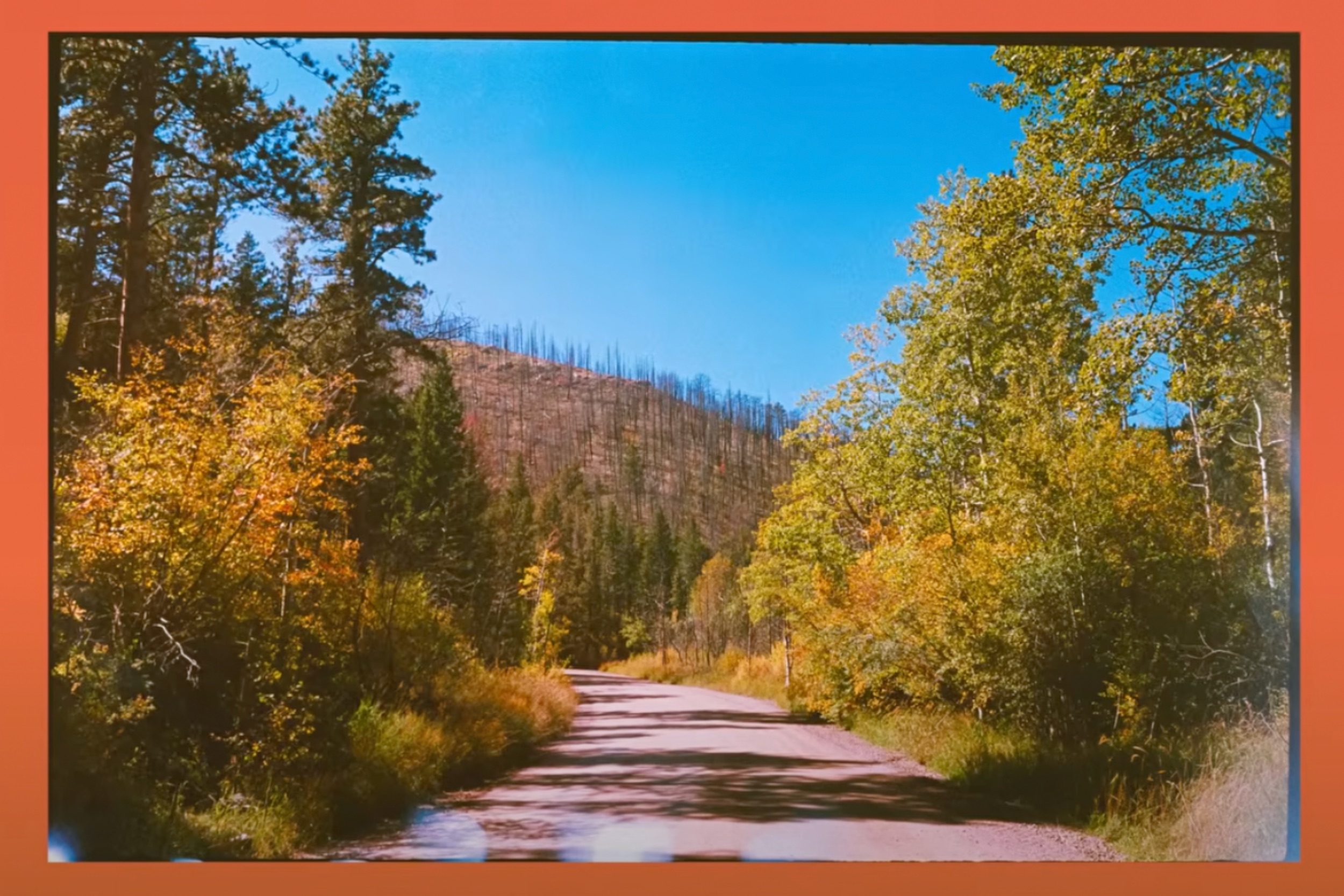 JJJJustin Bikepacks the Red Feather Ramble - BIKEPACKING.com