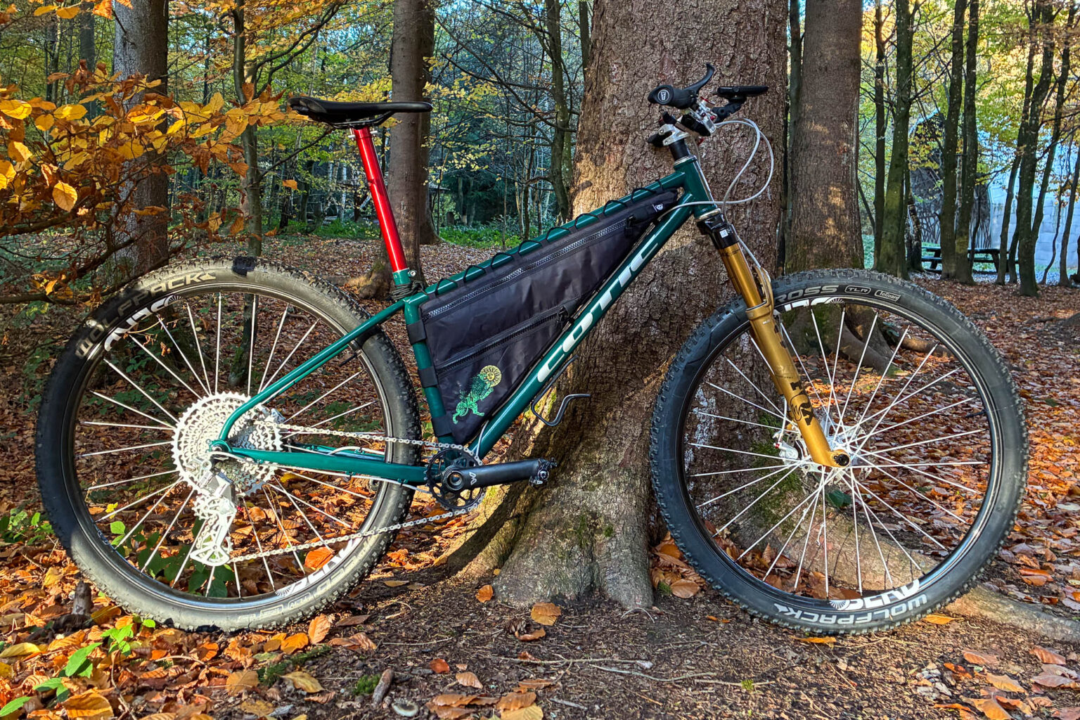 Reader's Rig: Bruno's Cotic Solaris - BIKEPACKING.com