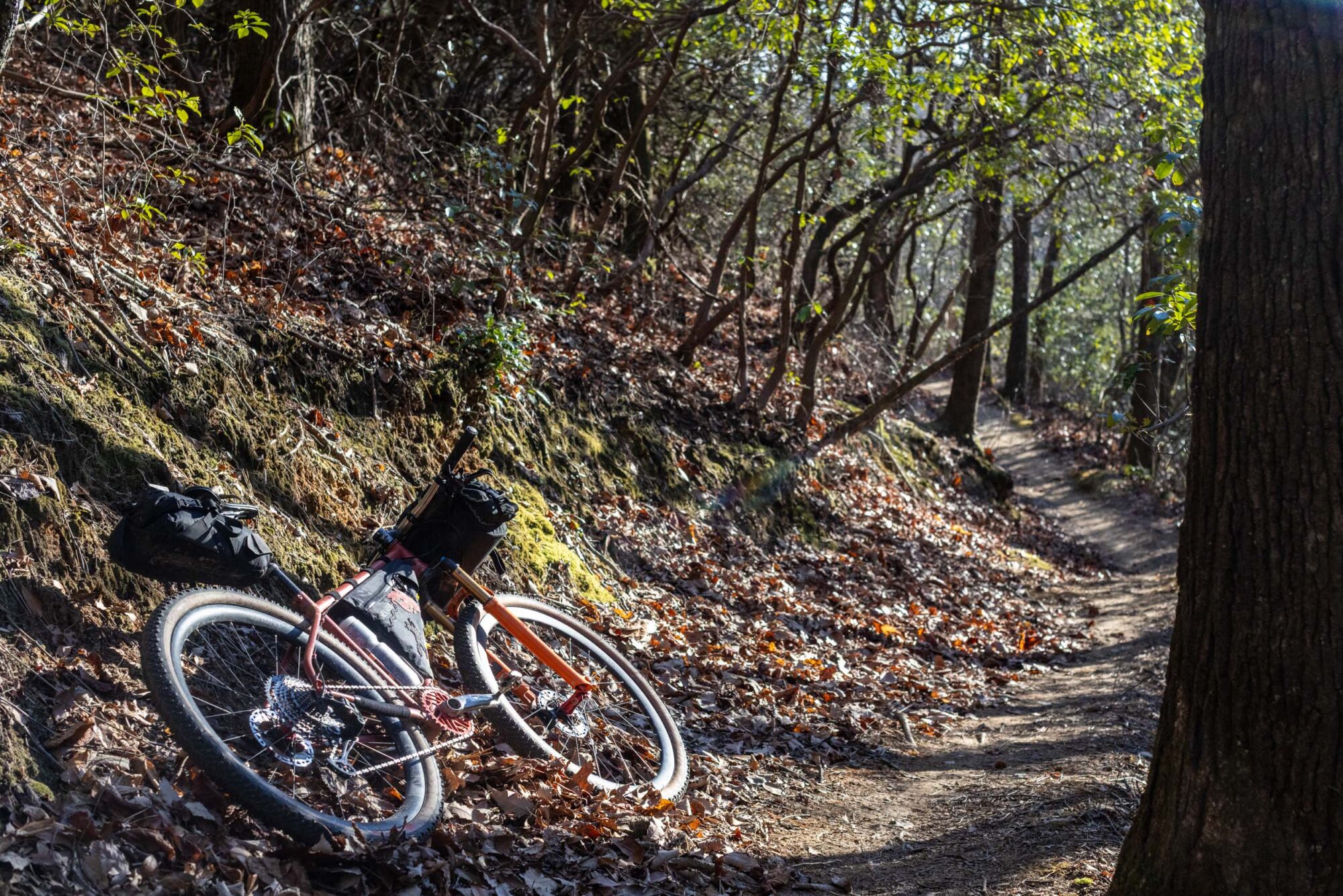 Slug Terrestrial Ti Handlebars Review - BIKEPACKING.com