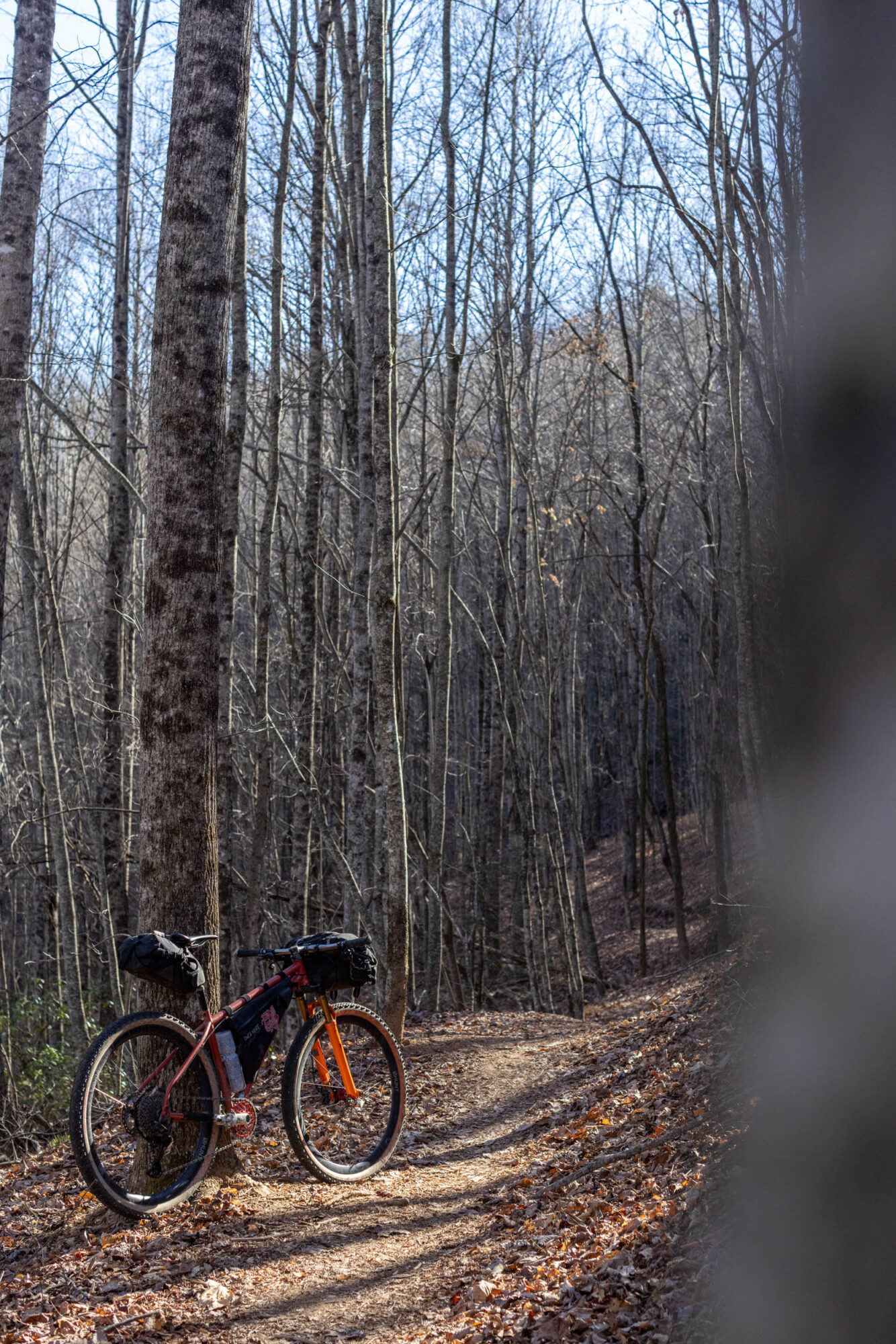 Slug Terrestrial Ti Handlebars Review - BIKEPACKING.com