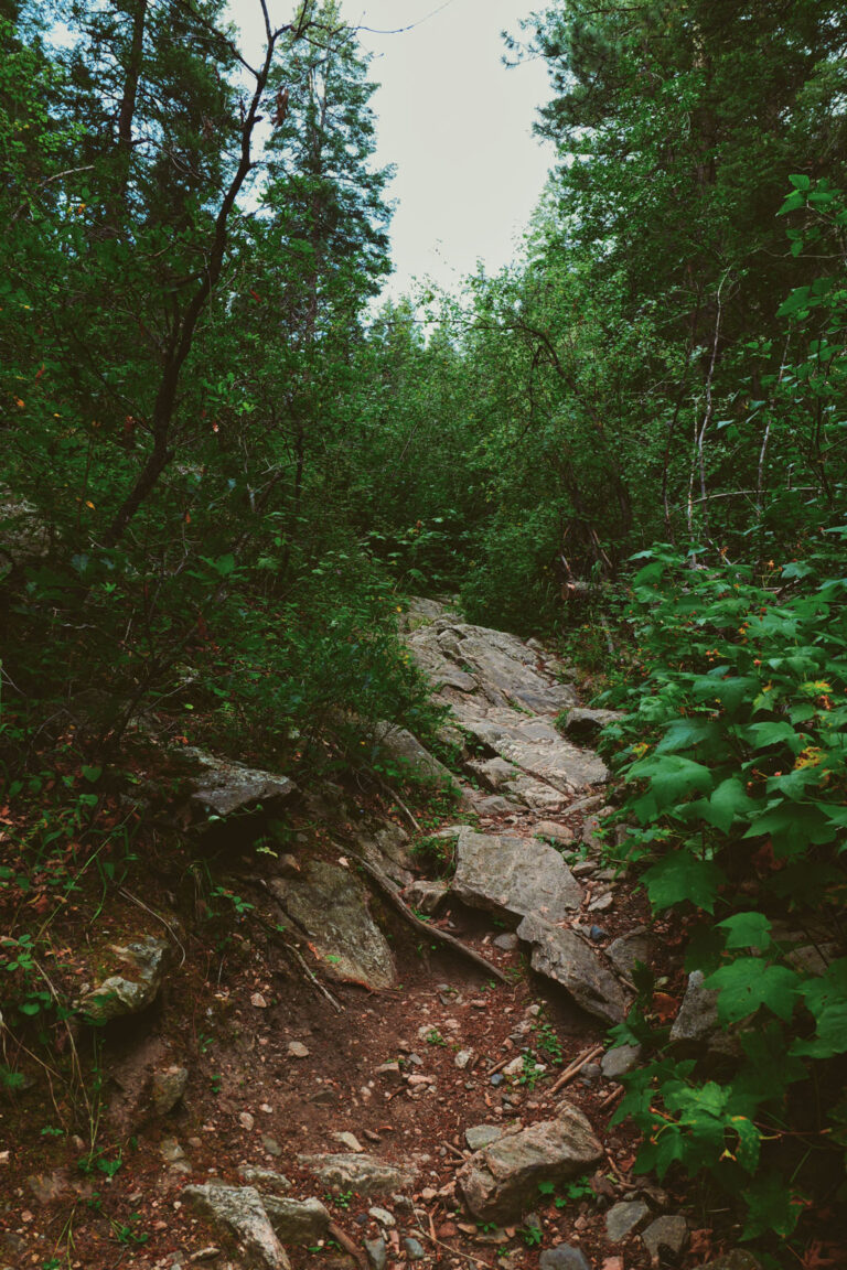 Chris Wilson on the Colorado Trail - BIKEPACKING.com
