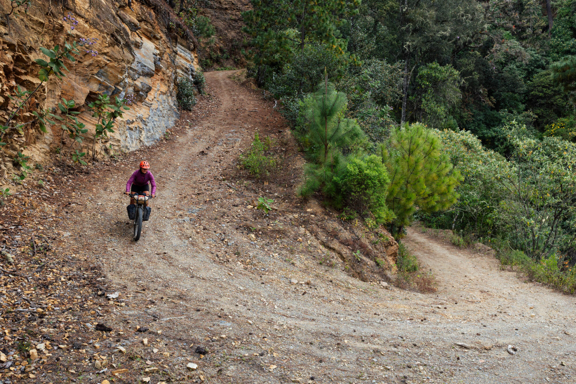 Bikepacking Routes, Gear, Inspiration - BIKEPACKING.com
