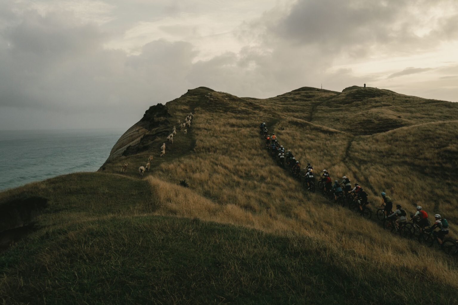 Tour Te Waipounamu 2026: Mid-Race Update - BIKEPACKING.com